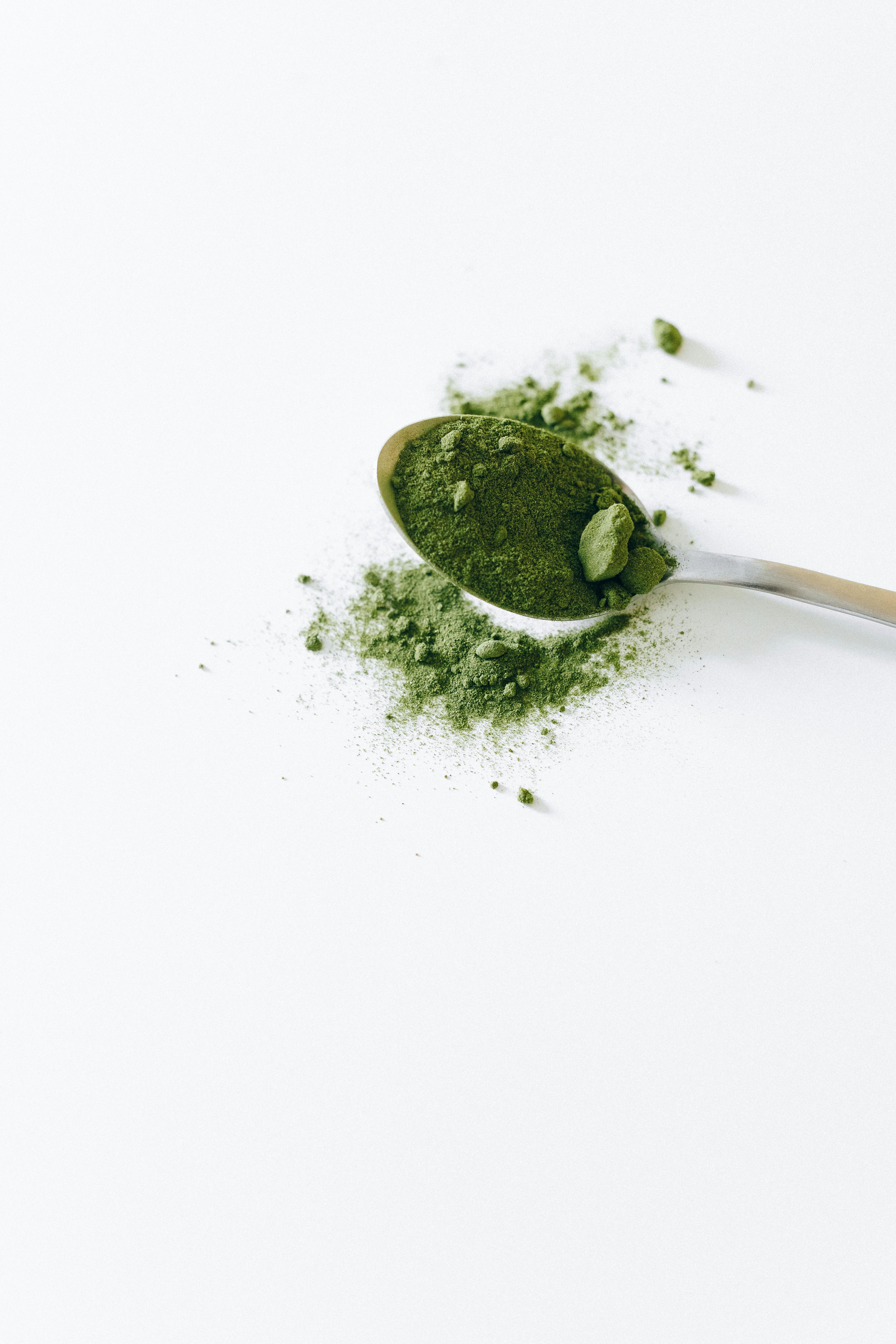 Matcha and Brain Health: What Research Shows – Forest Cloud